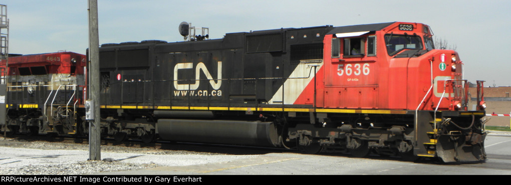 CN 5636